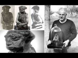 Nimerigar – Kryptozoologie Online